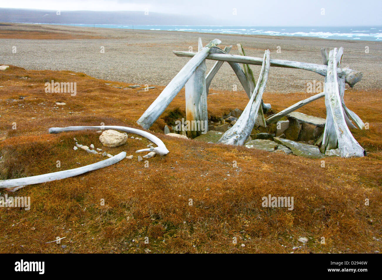 Ancient thule site near resolute bay arctic canada hi-res stock ...