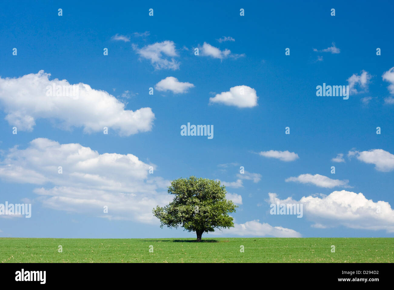 Simple tree landscape hi-res stock photography and images - Alamy