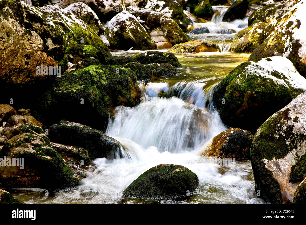 Trigl hi-res stock photography and images - Alamy