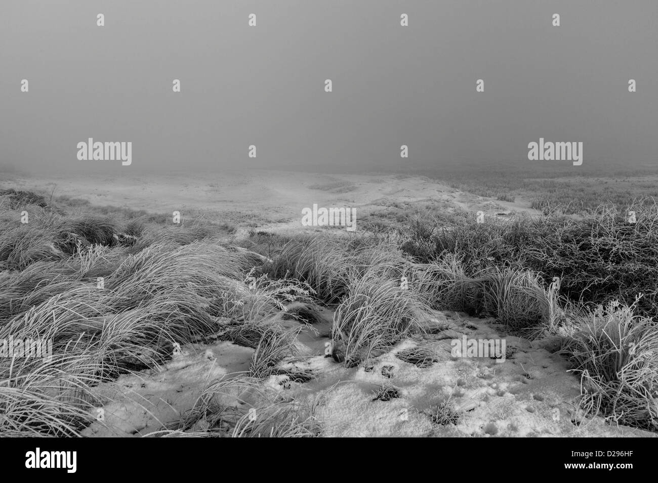 Freezing early morning fog covers the dunes at South Gare near Redcar ...