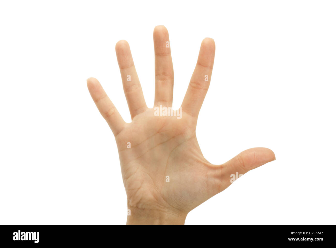 hand gestures isolated on a white Stock Photo - Alamy