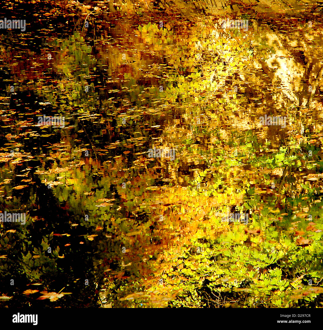 Fall Colors and Textures Stock Photo - Alamy