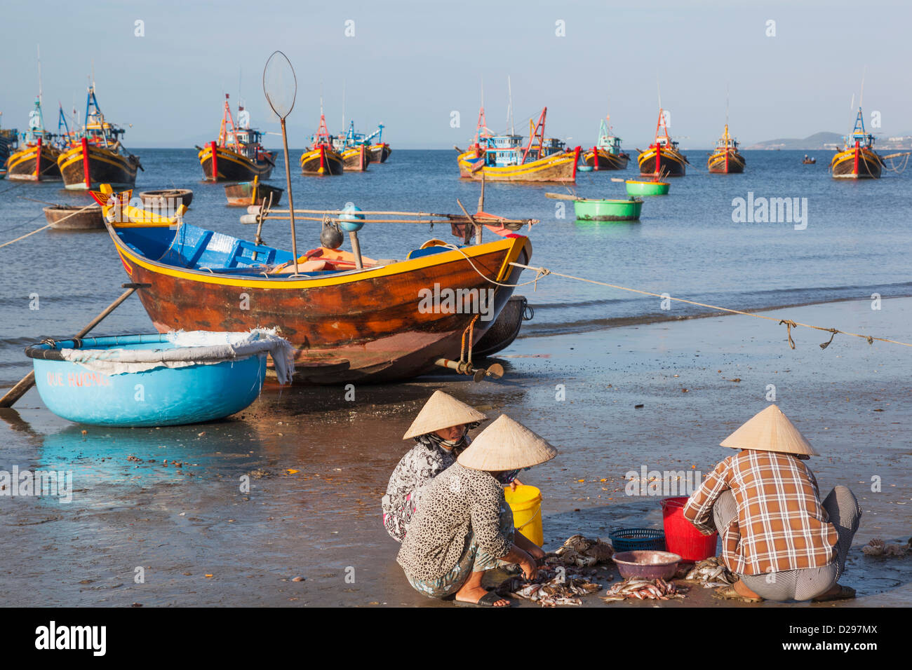 Vietnam, Mui Ne, Mui Ne Beach, Women Sorting Fishing Catch Stock Photo ...