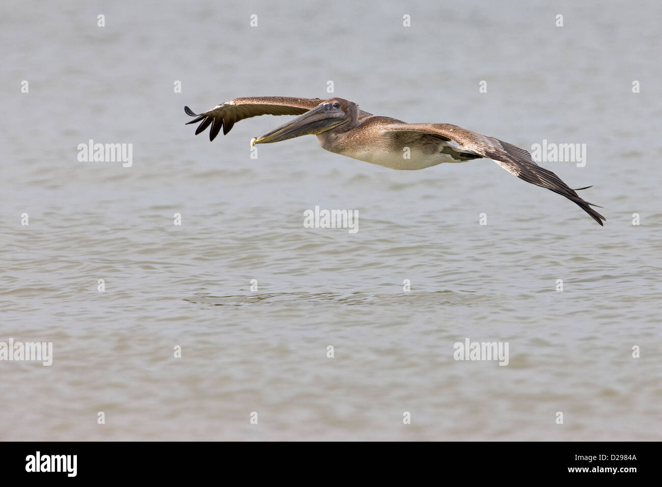 Flying surf hi-res stock photography and images - Alamy