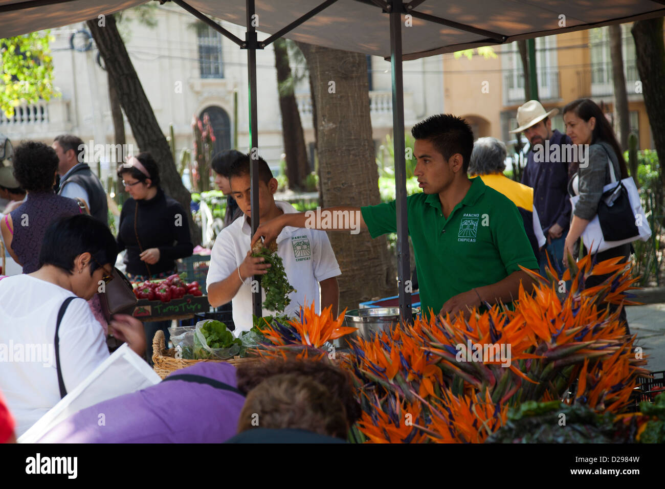 Mexico city plaza rio de janeiro hi-res stock photography and images ...