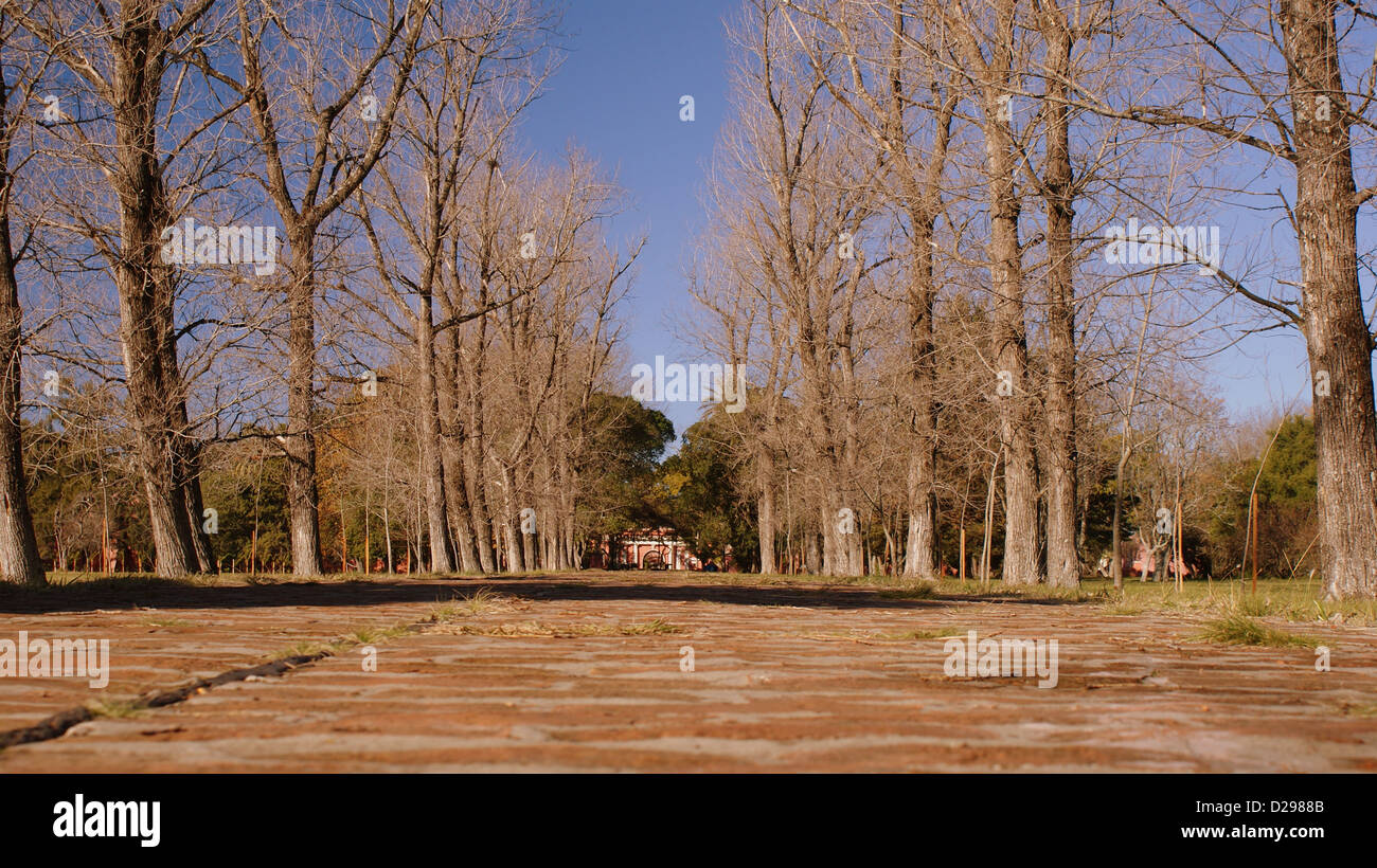 Red brick roads hi-res stock photography and images - Alamy