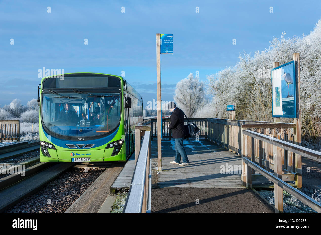 7 Buses High Resolution Stock Photography and Images - Alamy
