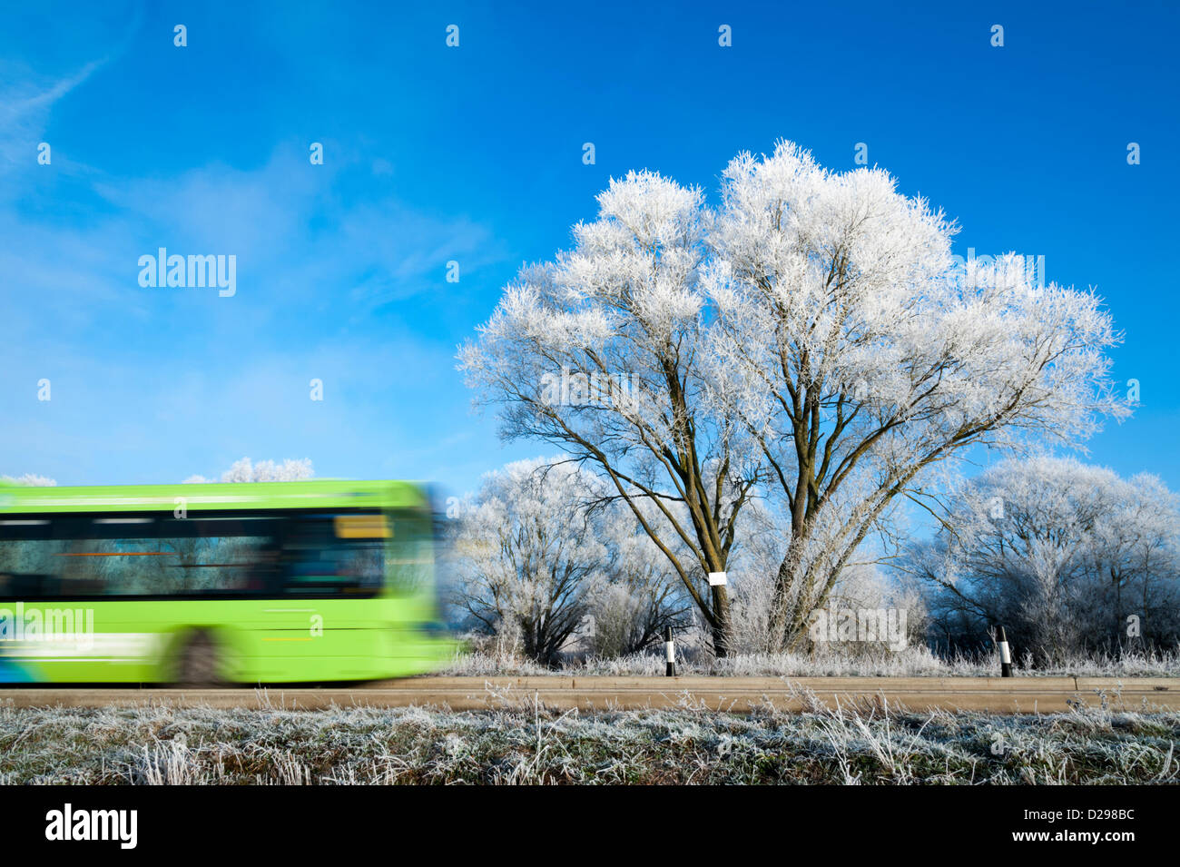 Cambridge guided busway st ives hi-res stock photography and images - Alamy