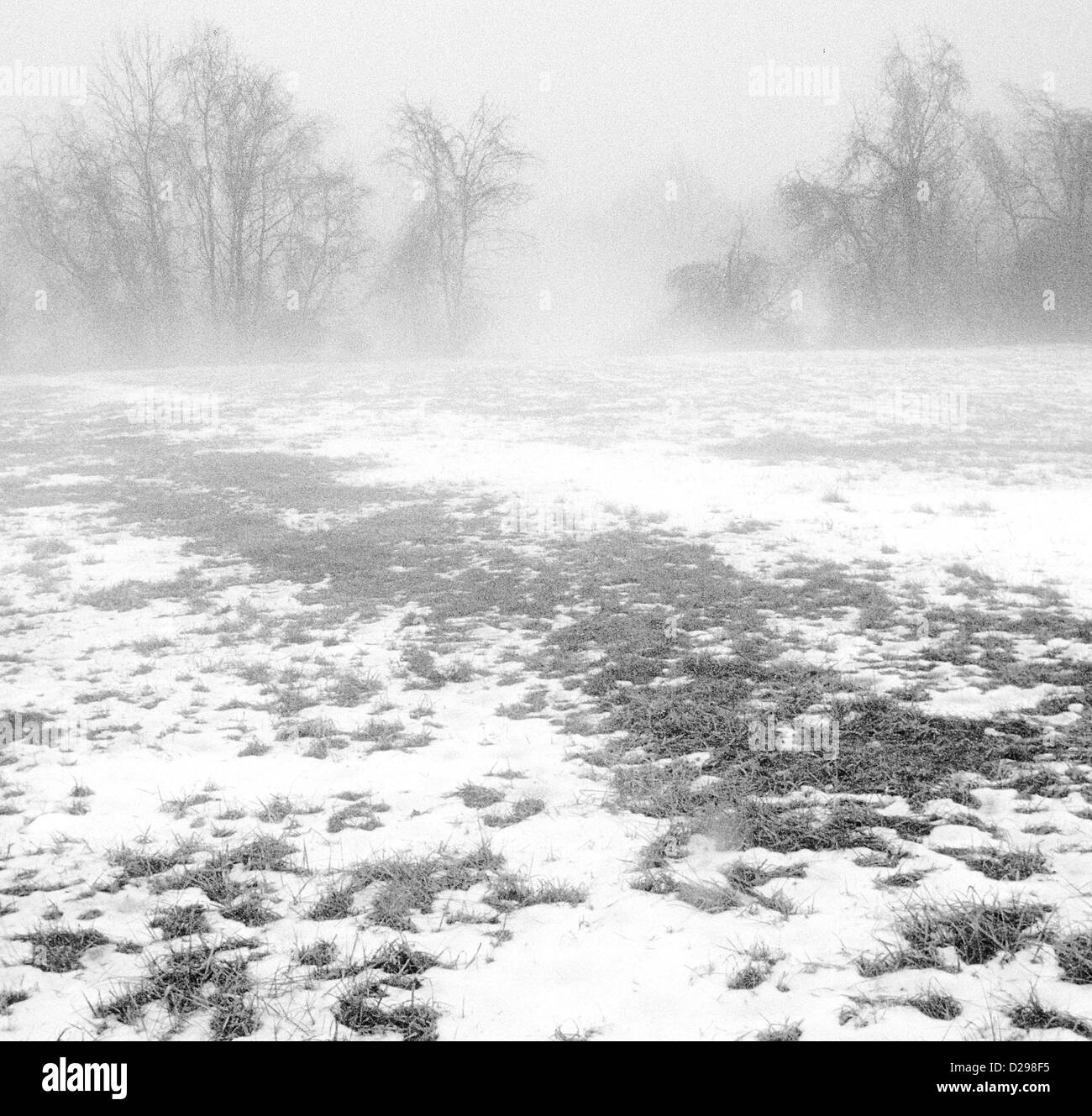 Supercooled Fog Over Snow Stock Photo - Alamy