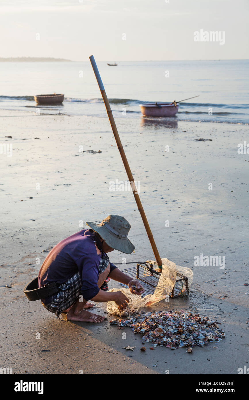 Sorting shellfish hi-res stock photography and images - Alamy