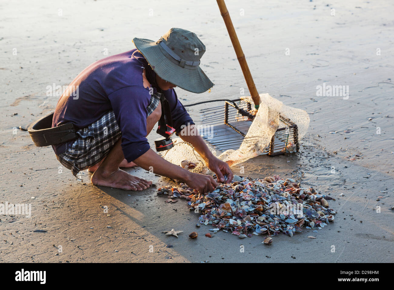 Sorting shellfish hi-res stock photography and images - Alamy