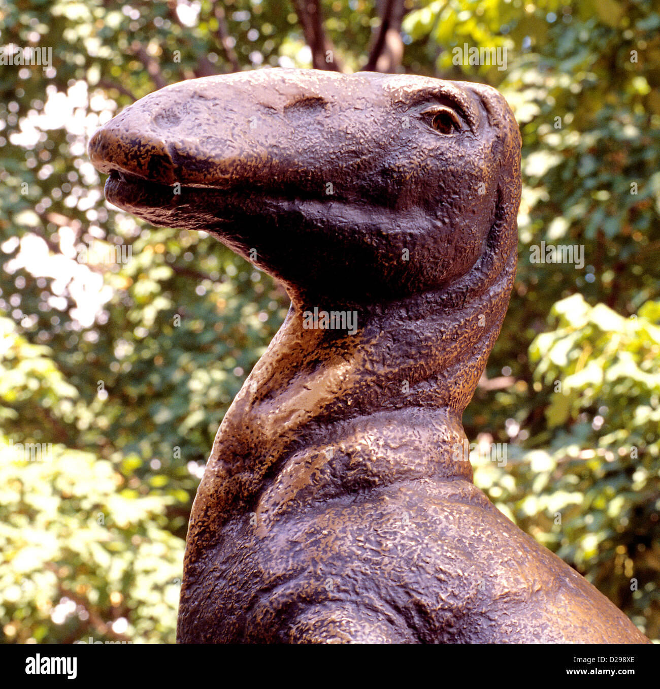 Hadrosaur hi-res stock photography and images - Alamy
