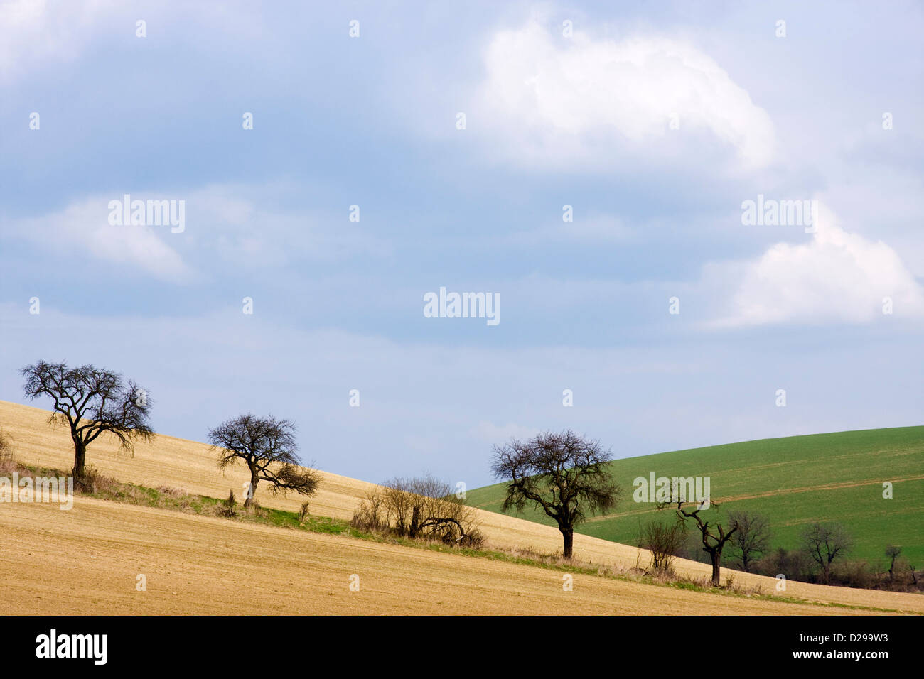 Sector image hi-res stock photography and images - Alamy