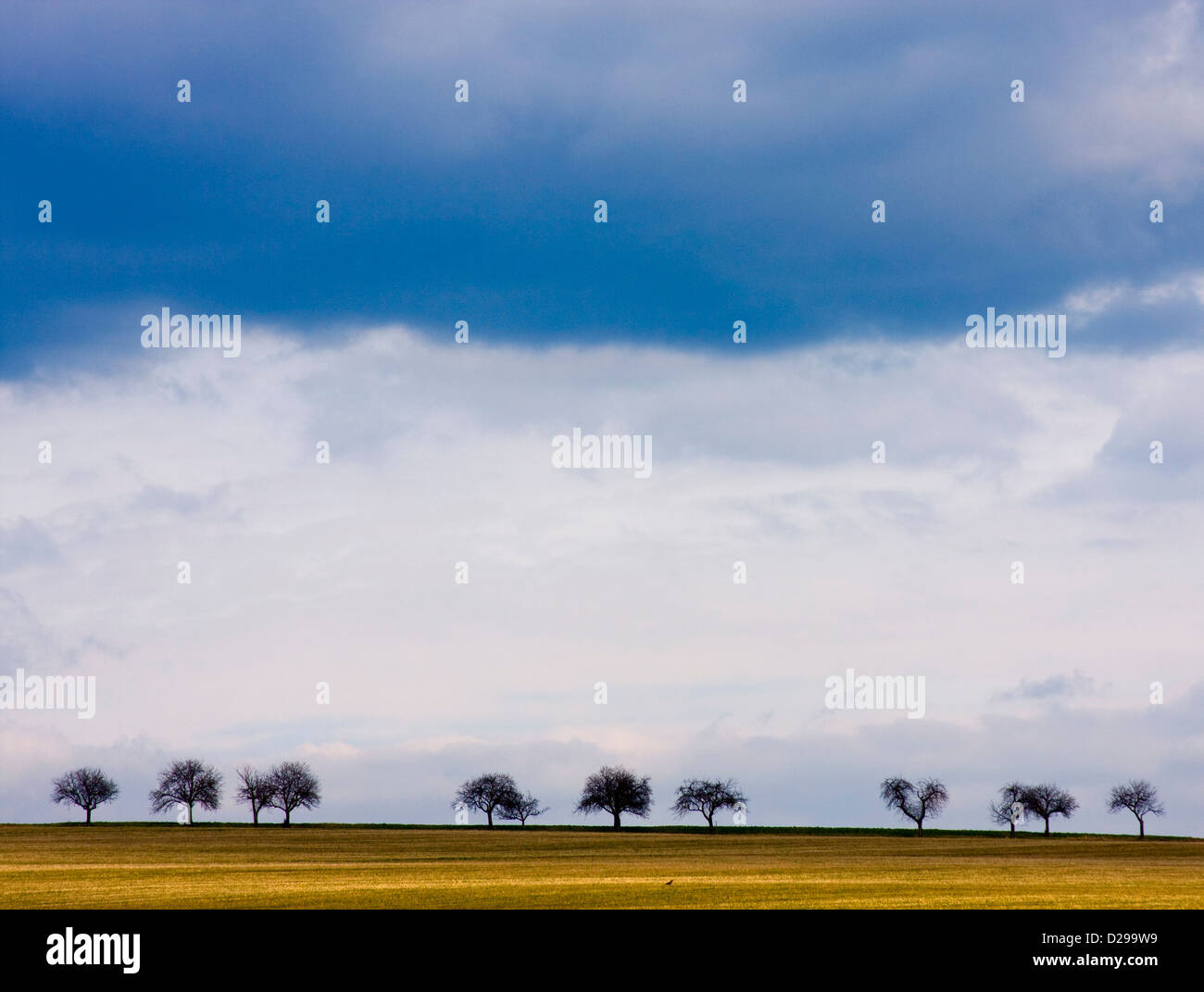 Fieldscape hi-res stock photography and images - Alamy