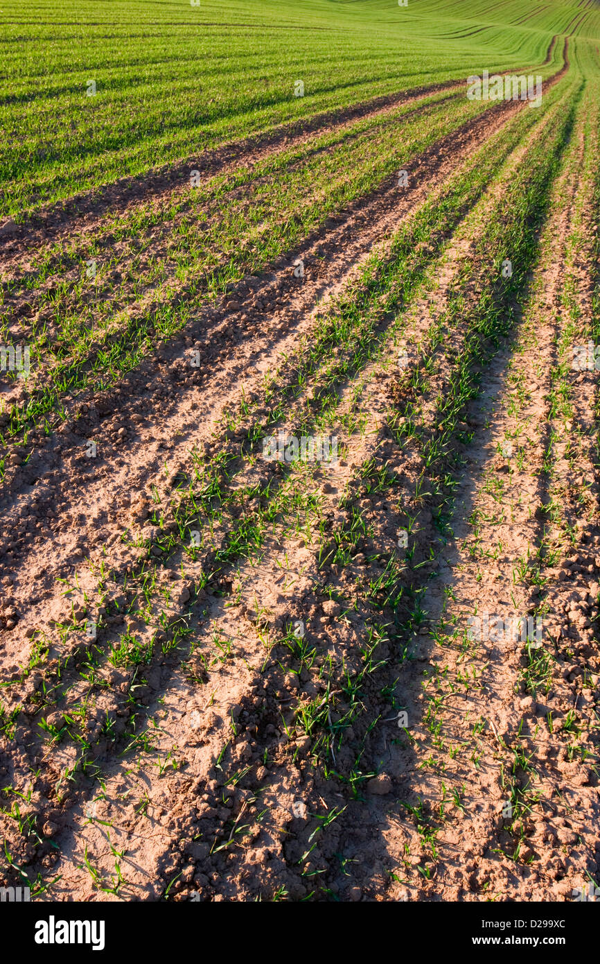 Farm photographs hi-res stock photography and images - Alamy
