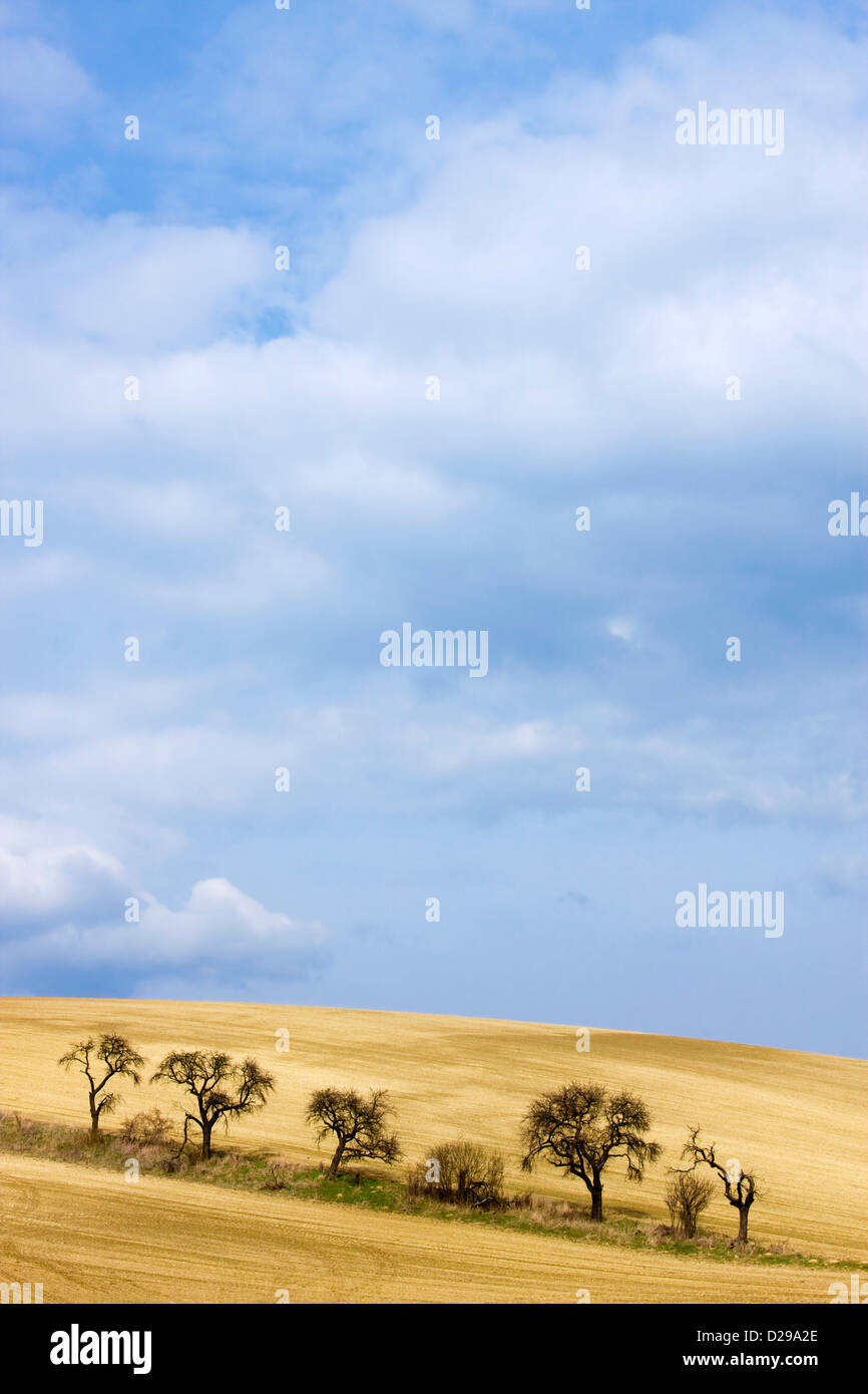 Fieldscape hi-res stock photography and images - Alamy