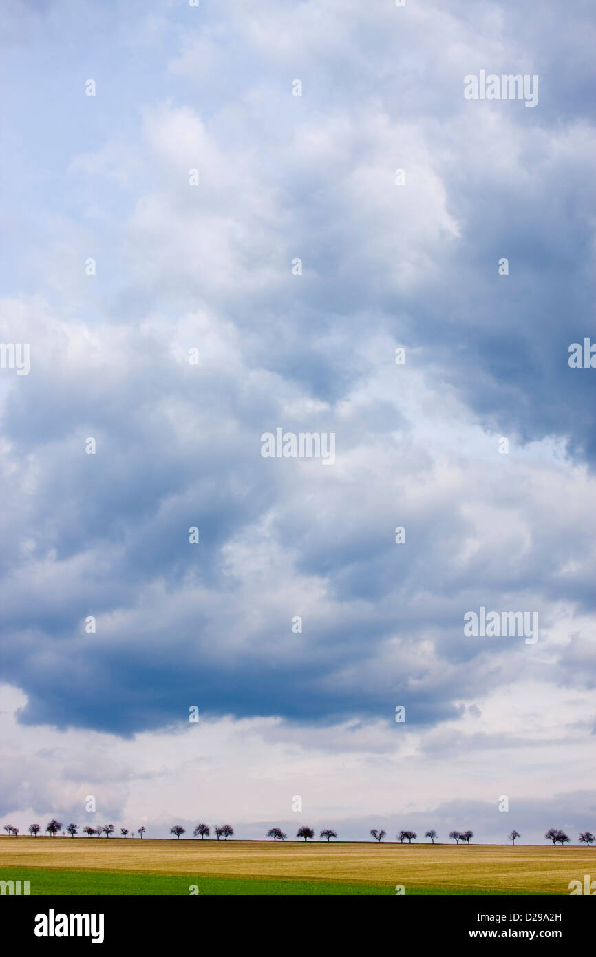 Fieldscape hi-res stock photography and images - Alamy