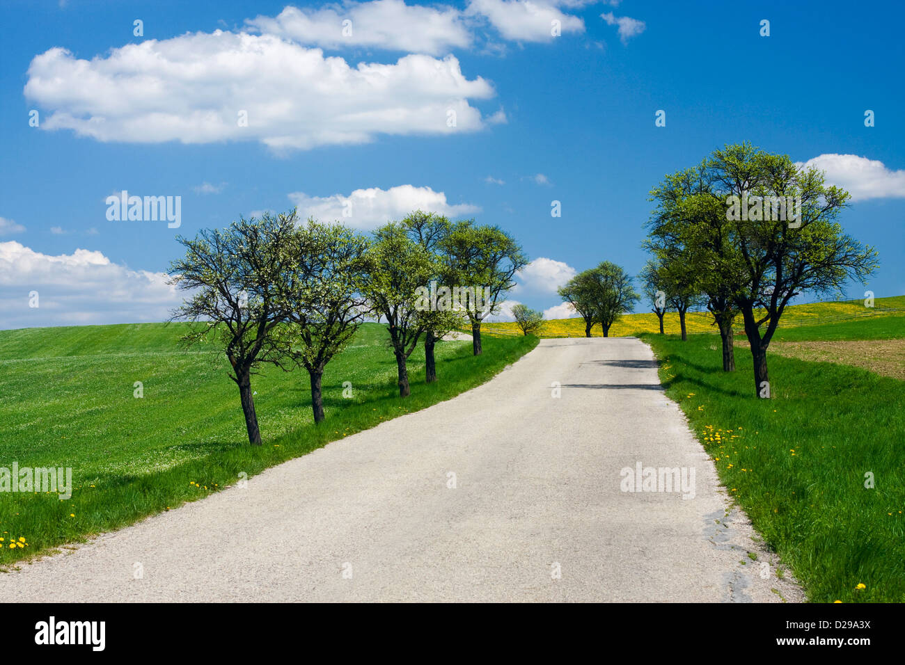 Arbour road hi-res stock photography and images - Alamy