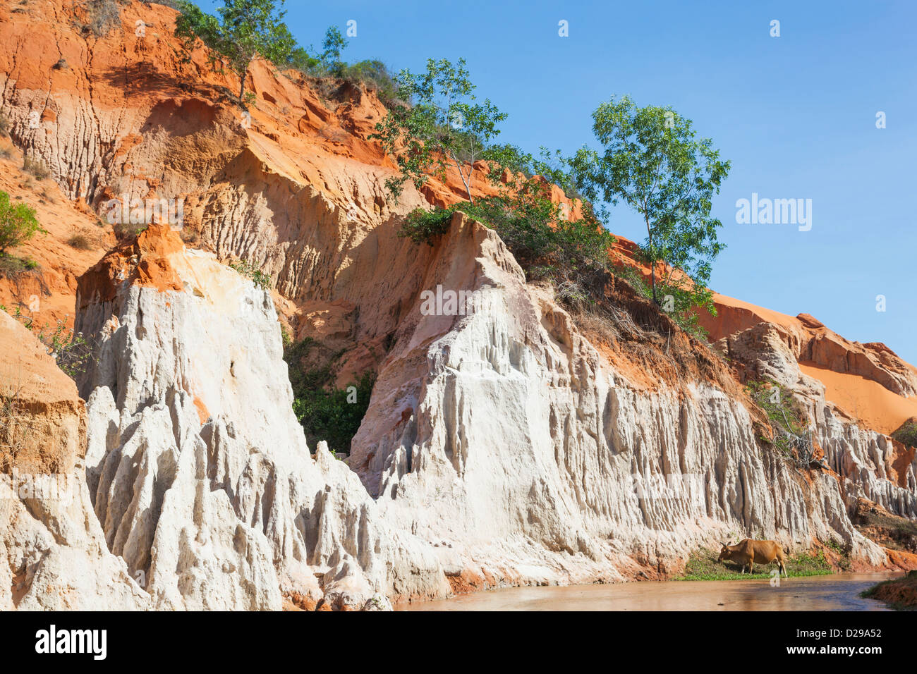 Vietnam, Mui Ne, Red Canyon and The Fairy Spring (Suoi Tien Stock Photo ...
