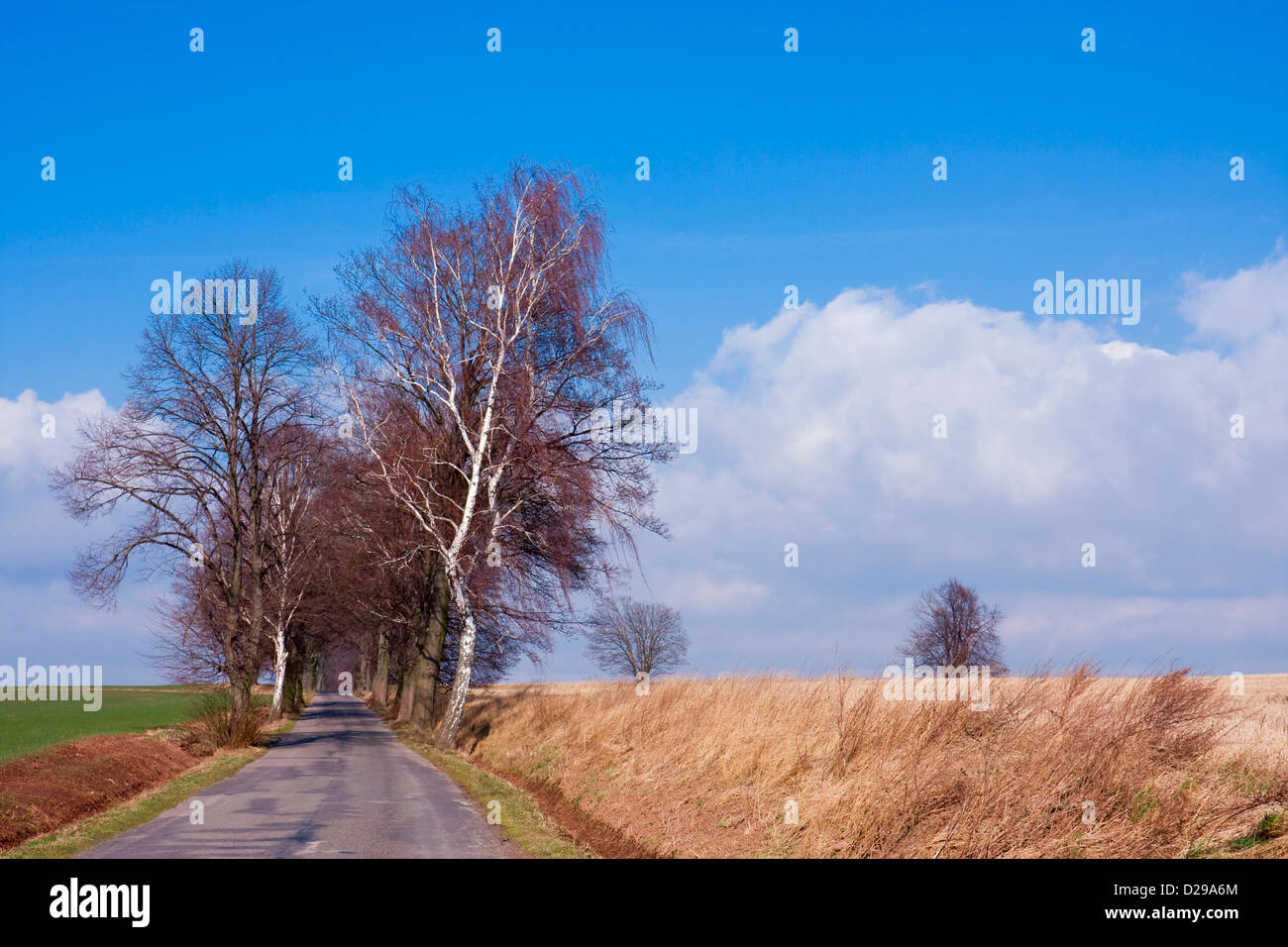 Early spring landscape Stock Photo - Alamy