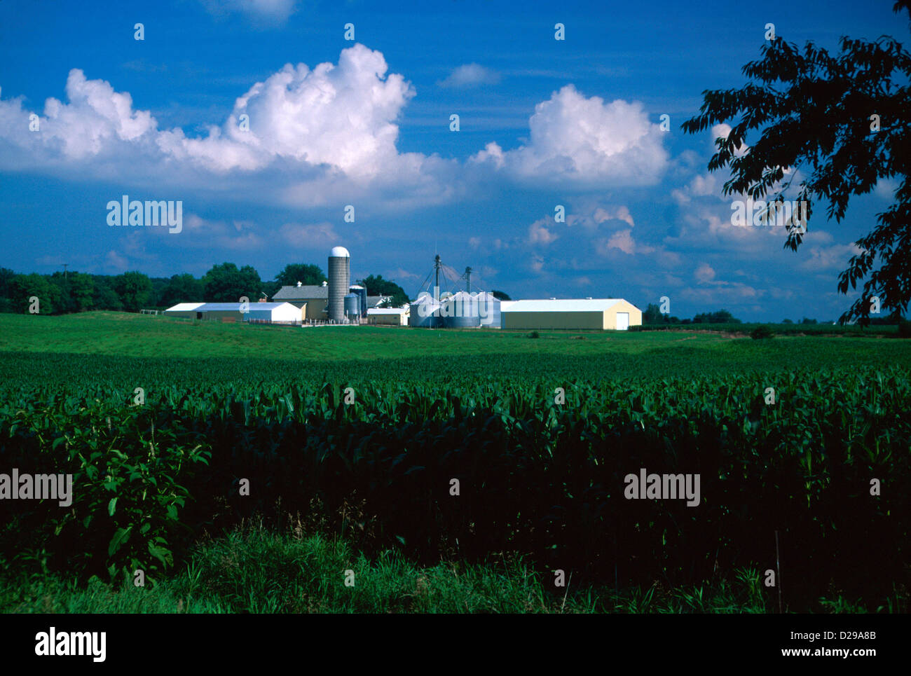 Wisconsin farm travel u s a wisconsin landscape color farm wisconsin hi ...