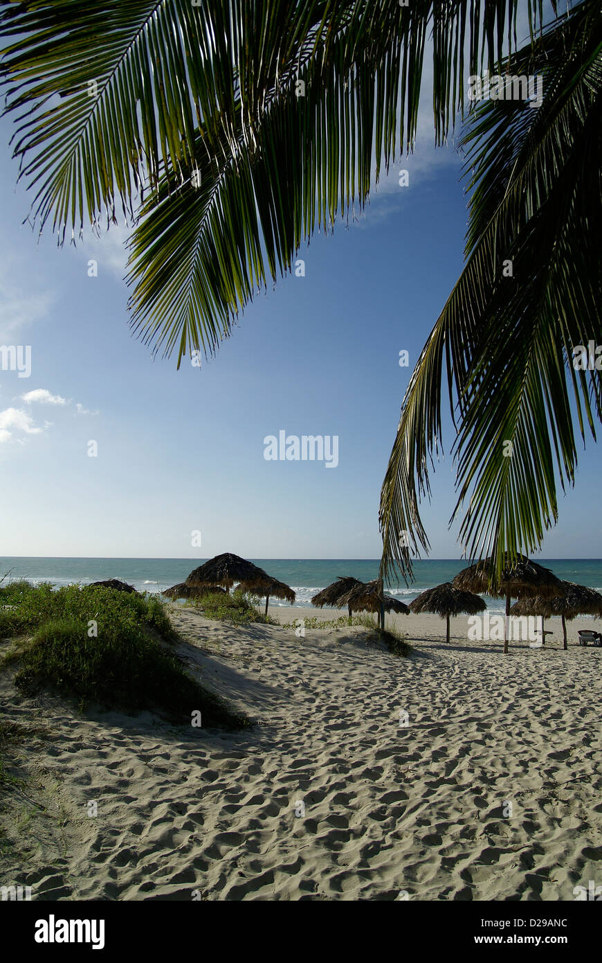 Tropic paradise hi-res stock photography and images - Alamy