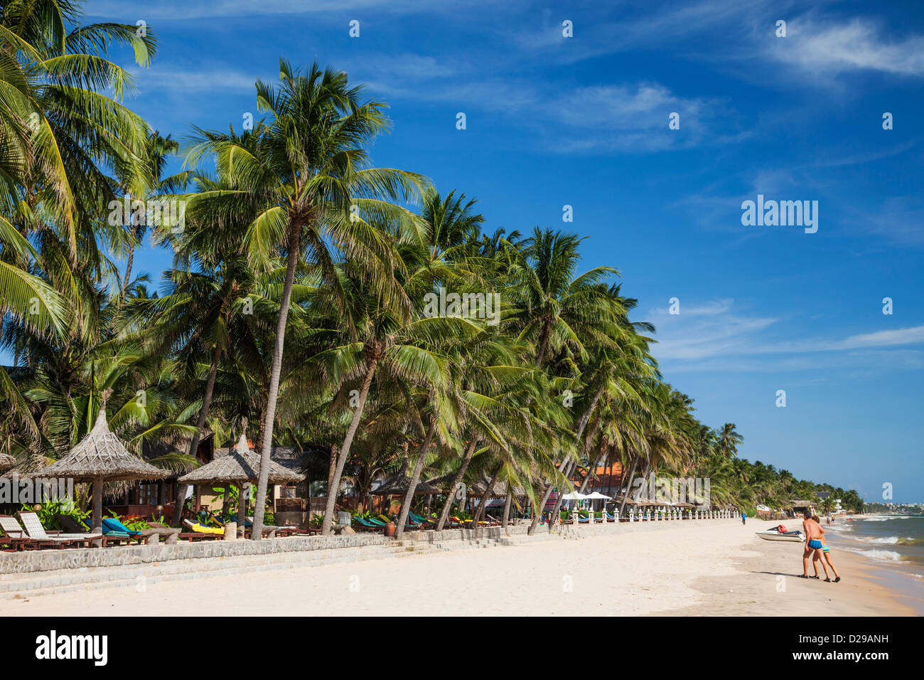 Vietnam, Mui Ne, Mui Ne Beach, Palm Trees Stock Photo - Alamy