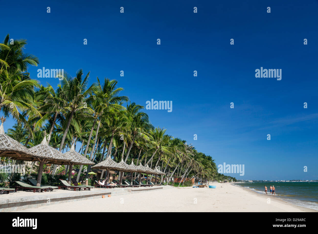 Vietnam, Mui Ne, Mui Ne Beach, Palm Trees Stock Photo - Alamy
