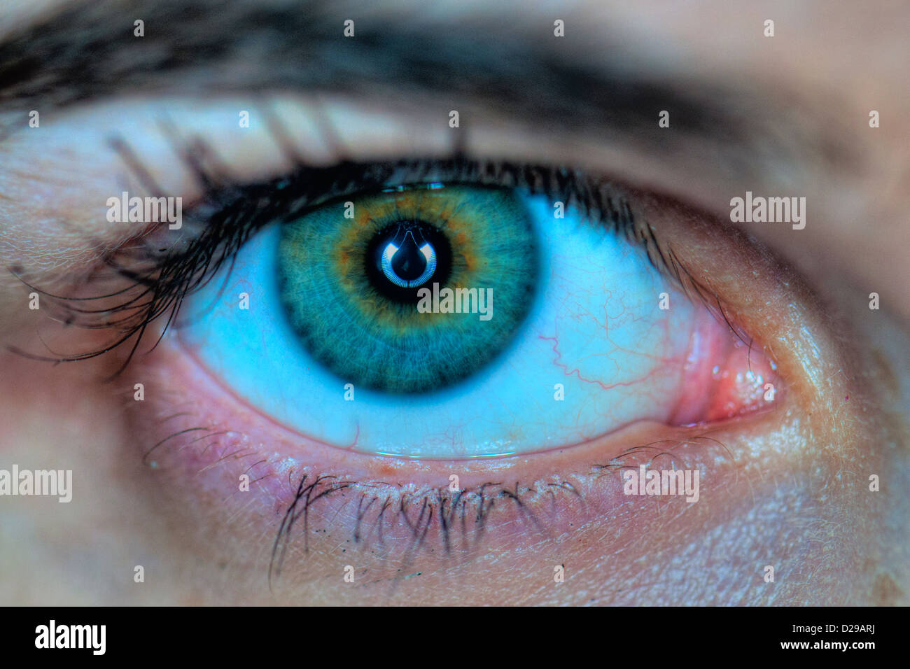 Human green eye hi-res stock photography and images - Alamy