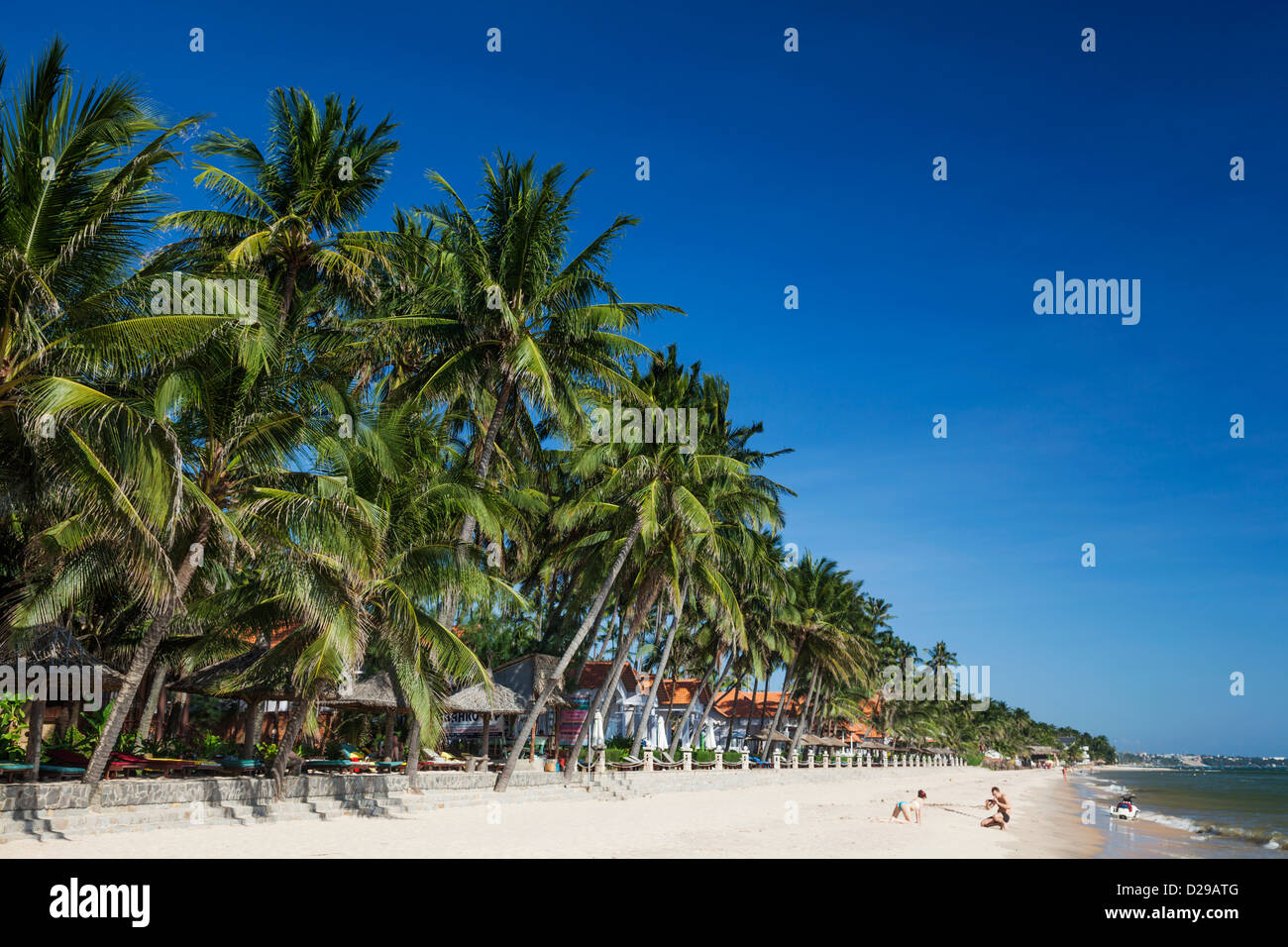 Vietnam, Mui Ne, Mui Ne Beach, Palm Trees Stock Photo - Alamy