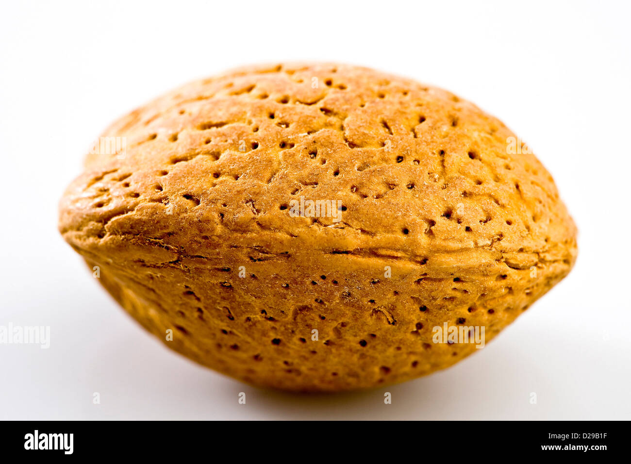 Nut photography hi-res stock photography and images - Alamy