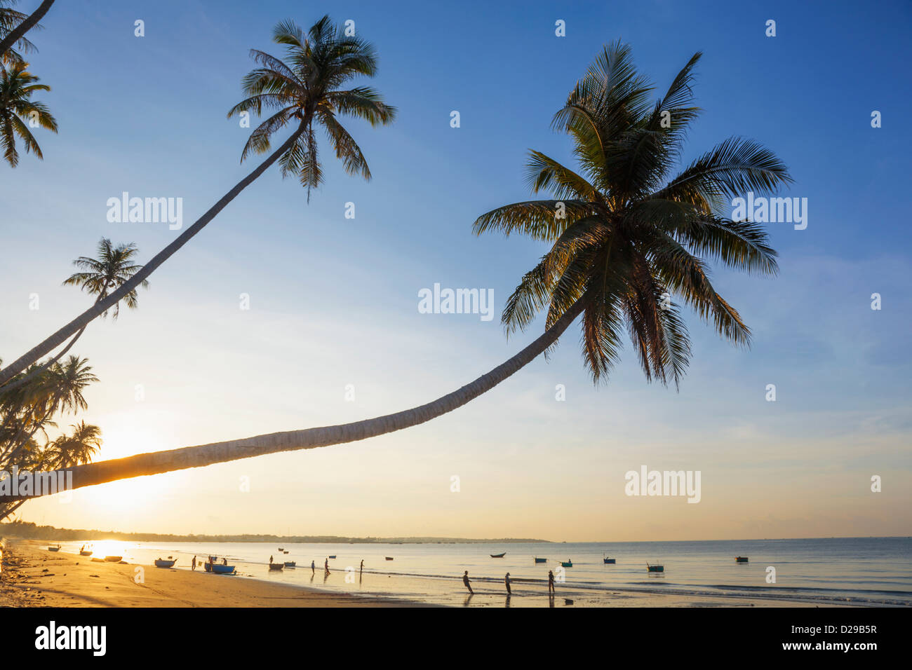 Vietnam, Mui Ne, Mui Ne Beach, Palm Trees at Sunrise Stock Photo - Alamy