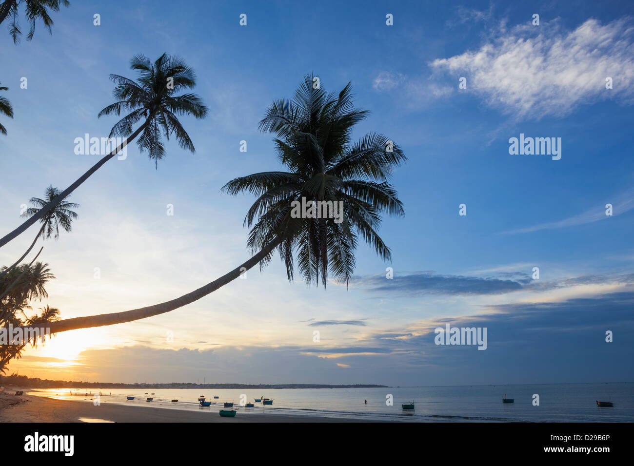 Vietnam, Mui Ne, Mui Ne Beach, Palm Trees at Sunrise Stock Photo - Alamy