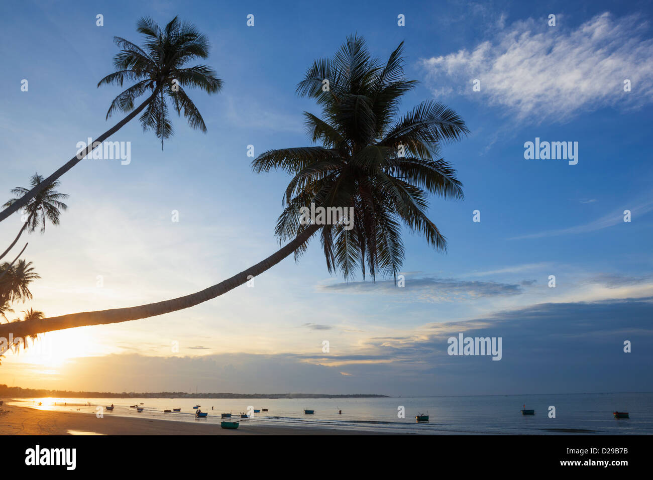 Vietnam, Mui Ne, Mui Ne Beach, Palm Trees at Sunrise Stock Photo - Alamy