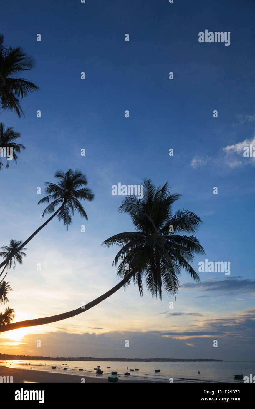 Vietnam, Mui Ne, Mui Ne Beach, Palm Trees at Sunrise Stock Photo - Alamy