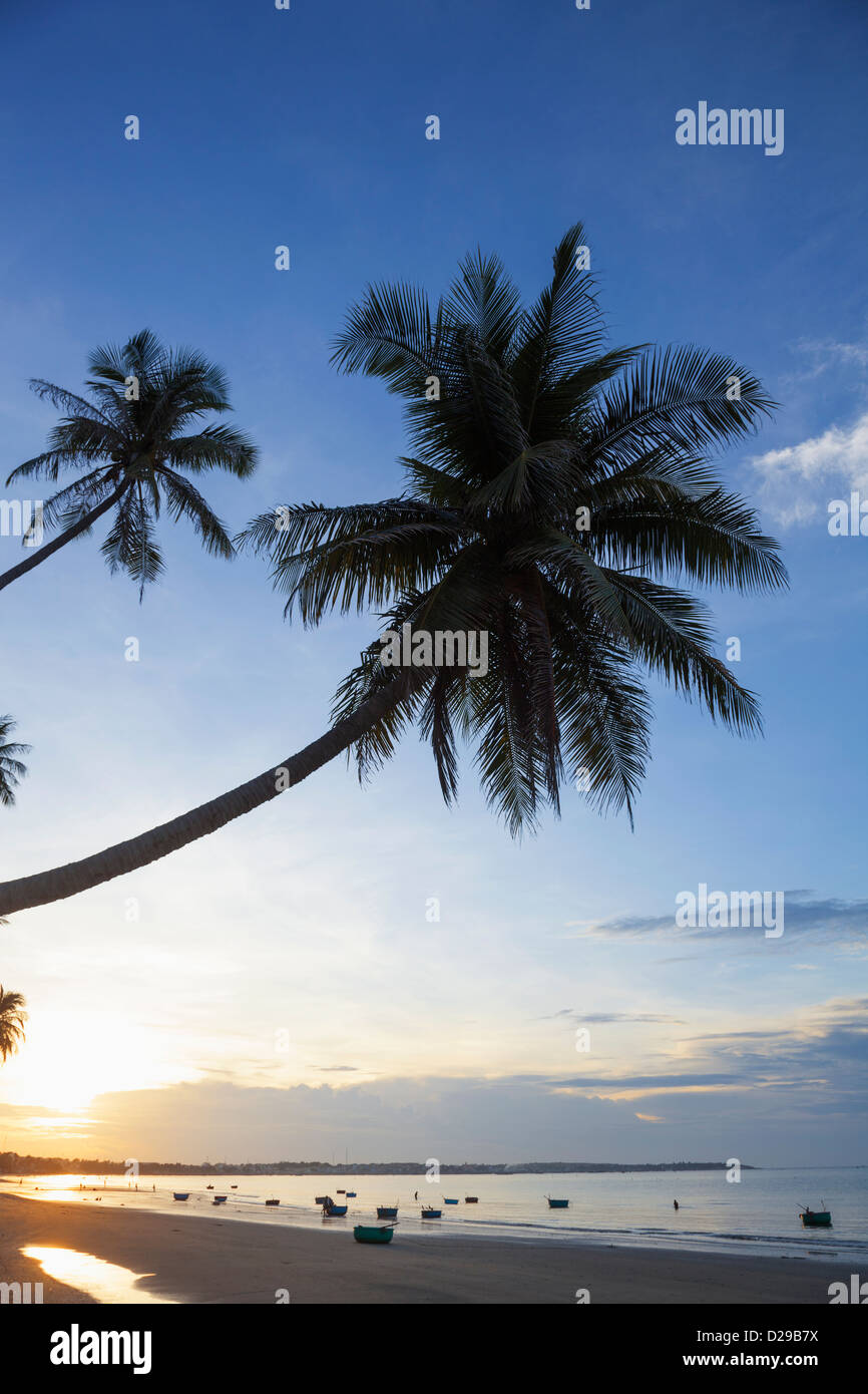 Vietnam, Mui Ne, Mui Ne Beach, Palm Trees at Sunrise Stock Photo - Alamy