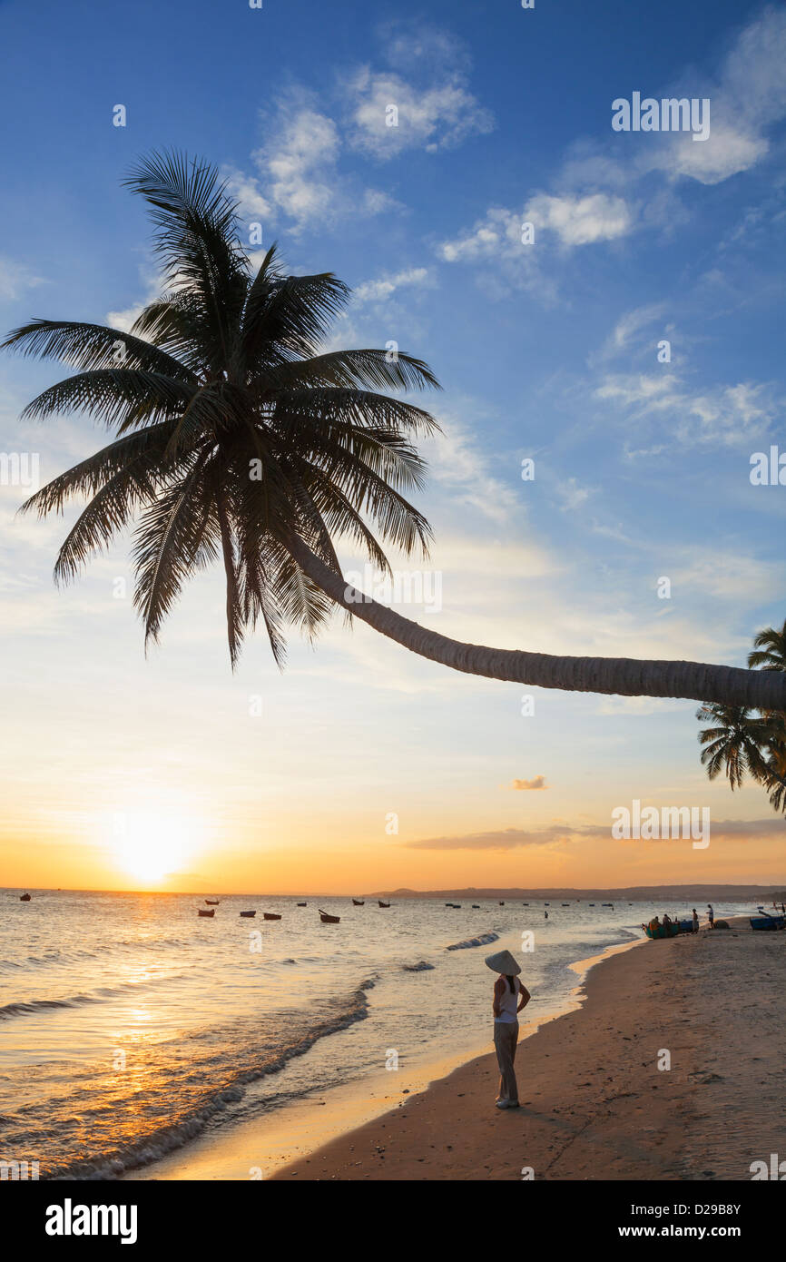 Vietnam, Mui Ne, Mui Ne Beach, Palm Tree at Sunset Stock Photo - Alamy