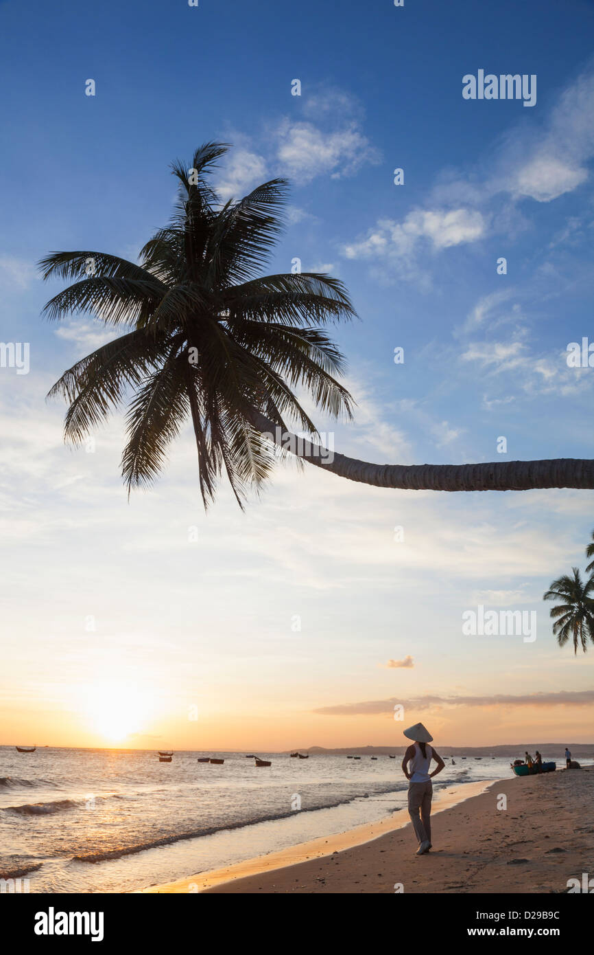 Vietnam, Mui Ne, Mui Ne Beach, Palm Tree at Sunset Stock Photo - Alamy
