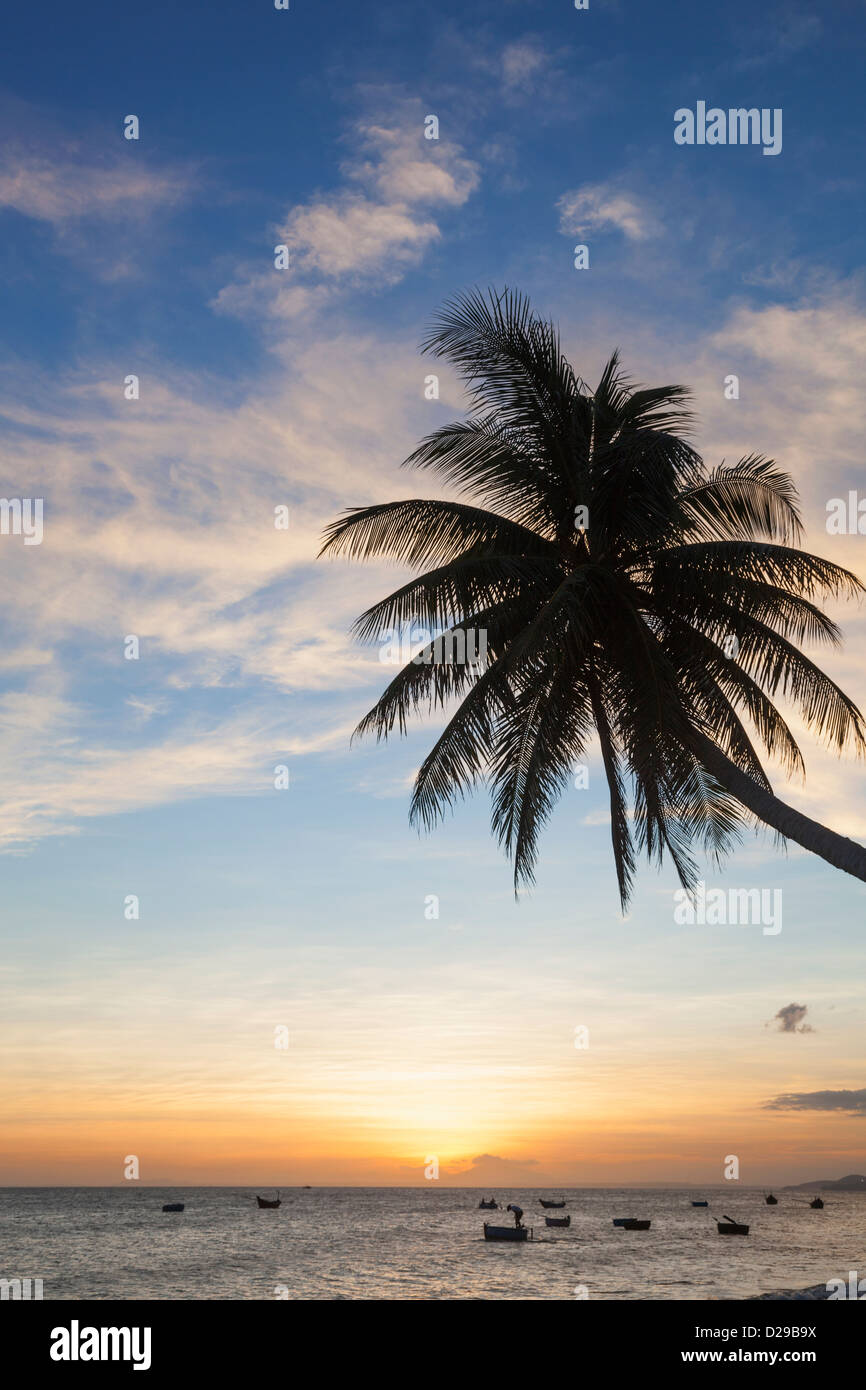 Vietnam, Mui Ne, Mui Ne Beach, Palm Tree at Sunset Stock Photo - Alamy