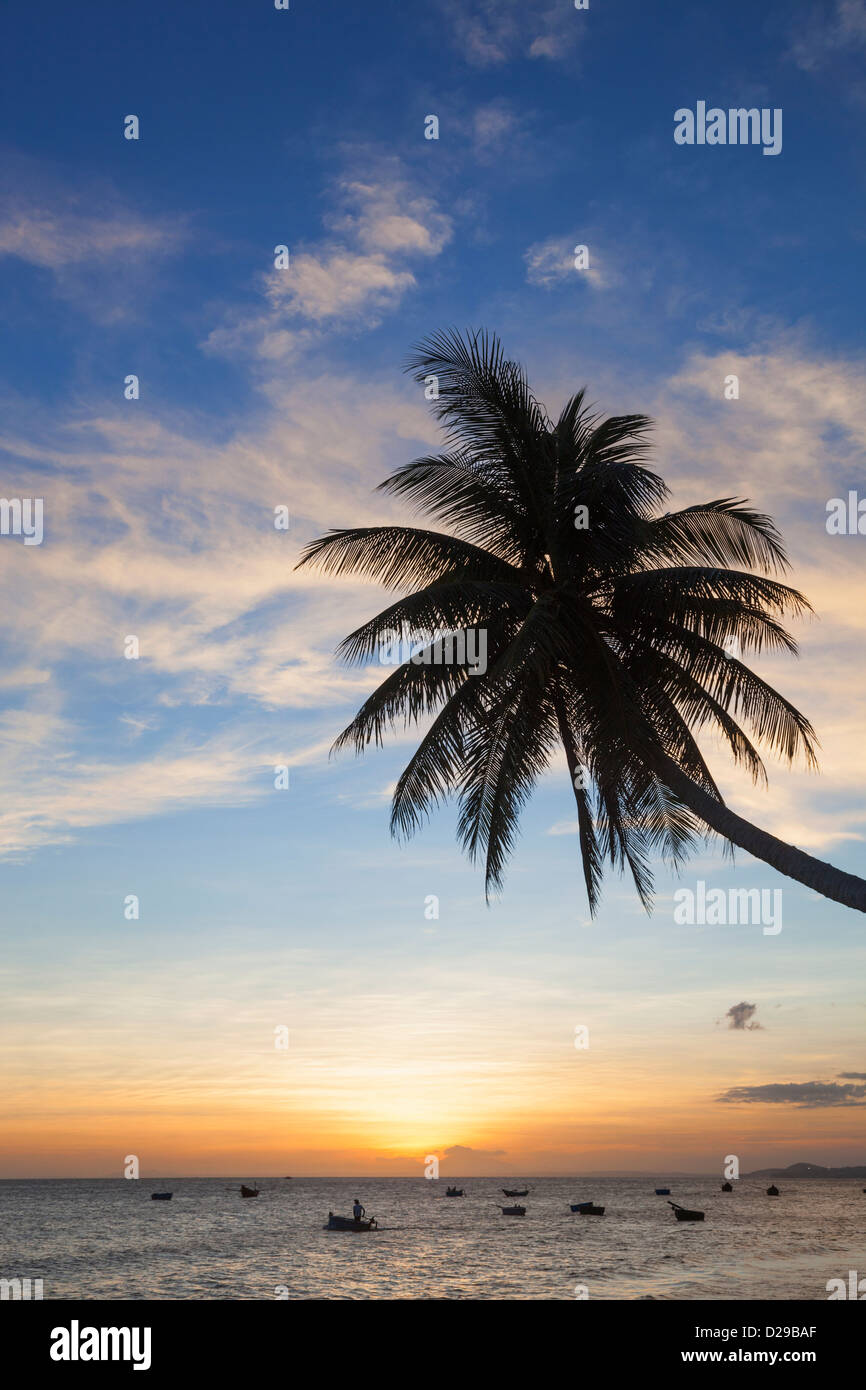 Vietnam, Mui Ne, Mui Ne Beach, Palm Tree at Sunset Stock Photo - Alamy