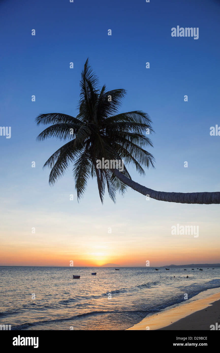 Vietnam, Mui Ne, Mui Ne Beach, Palm Tree at Sunset Stock Photo - Alamy