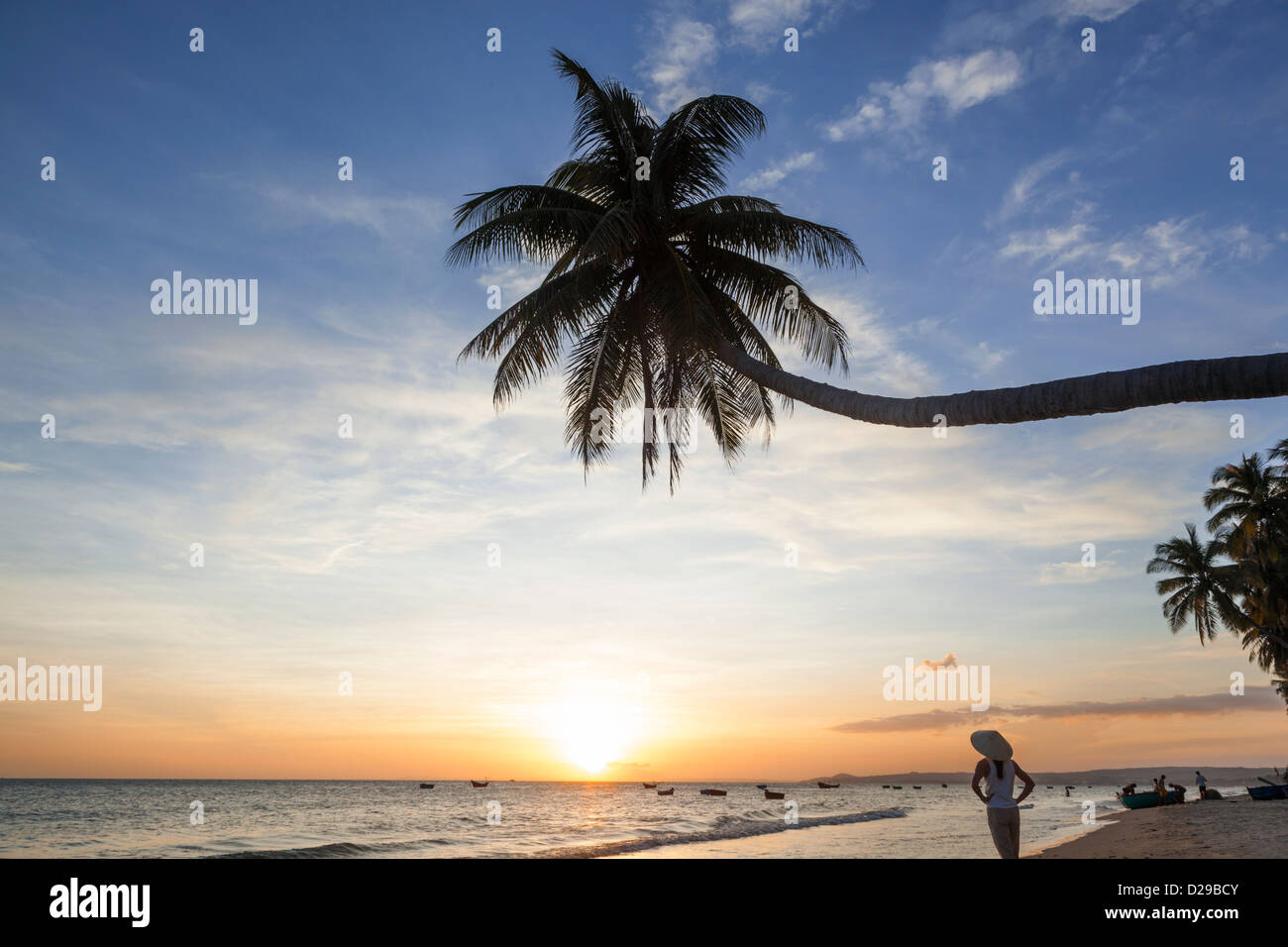 Vietnam, Mui Ne, Mui Ne Beach, Palm Tree at Sunset Stock Photo - Alamy
