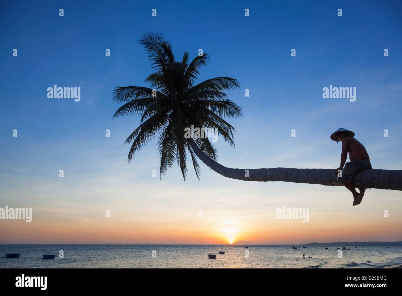 Vietnam, Mui Ne, Mui Ne Beach, Palm Tree at Sunset Stock Photo - Alamy