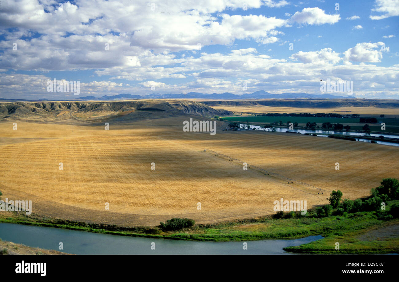 Montana wheatfield along missouri river plateau hi-res stock ...