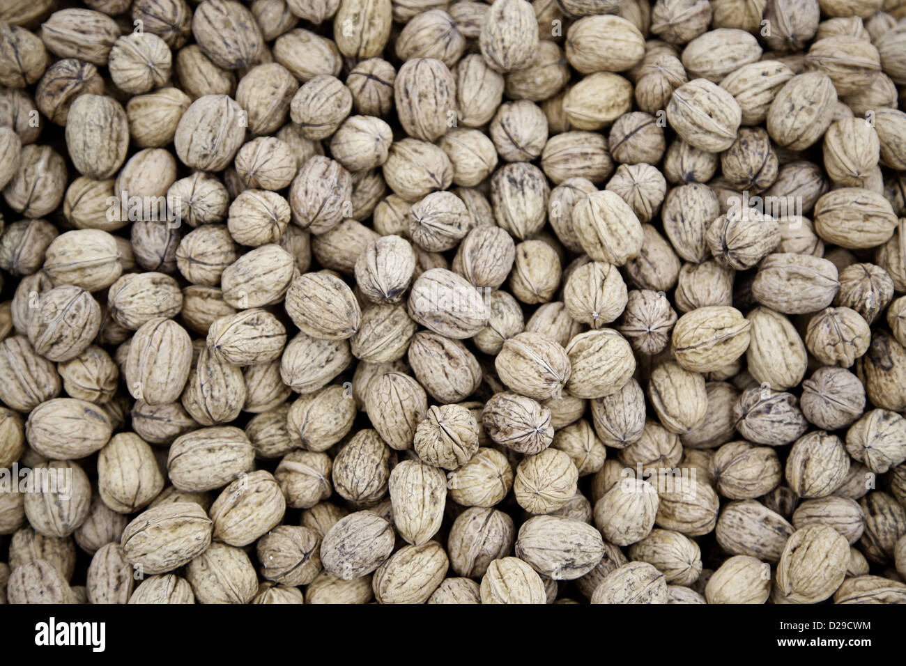 Nuts fall fruit detail in the foreground, food Stock Photo - Alamy