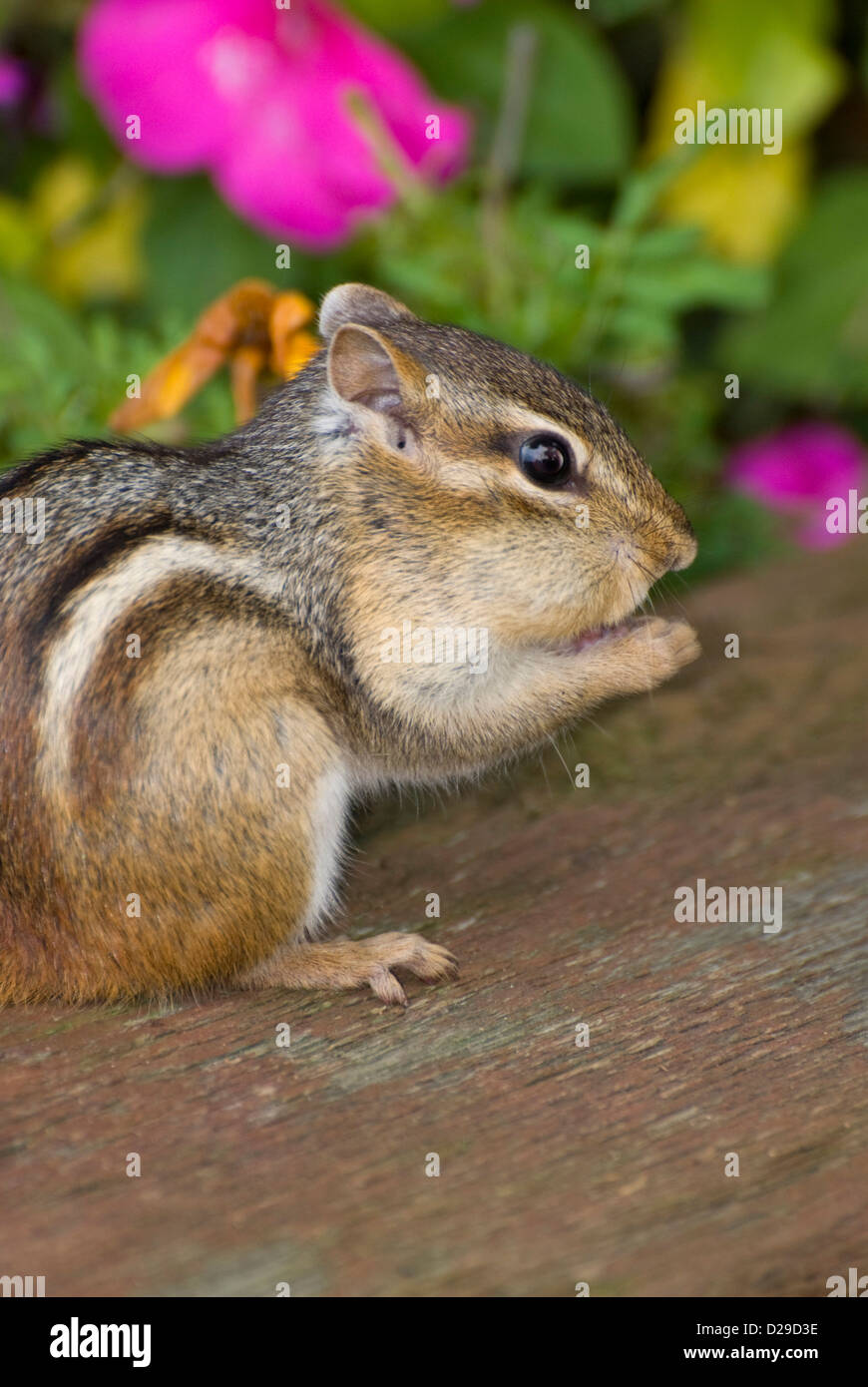 Eastern wisconsin hi-res stock photography and images - Alamy