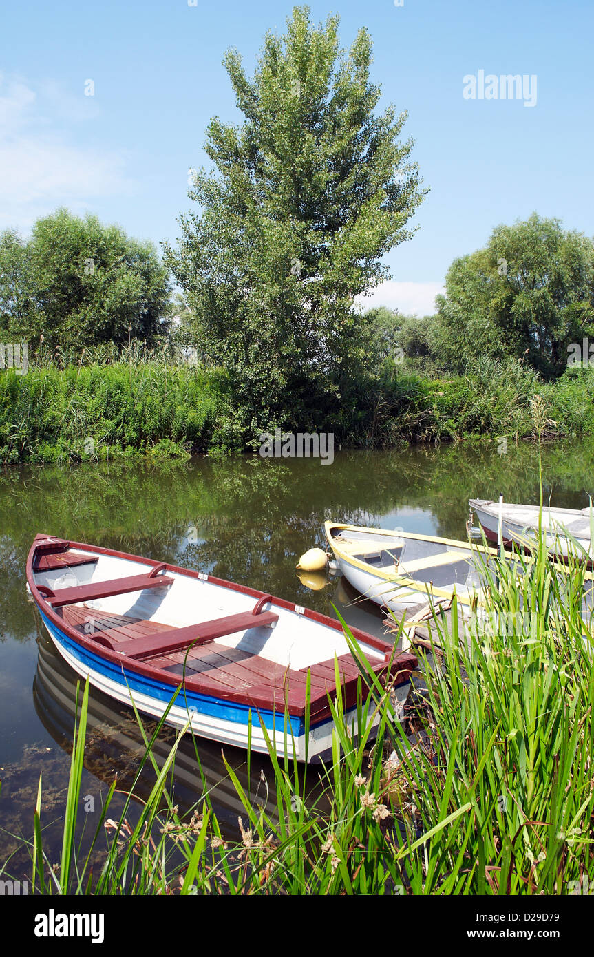 Fishing boats on Lake Balaton,Hungary Stock Photo - Alamy