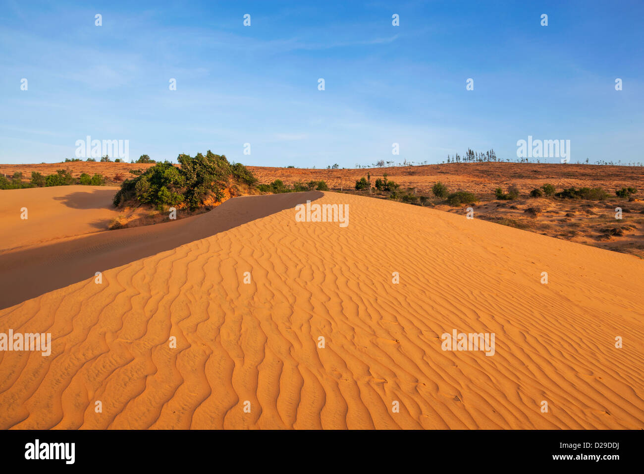 Vietnam, Mui Ne, Sand Dunes Stock Photo - Alamy
