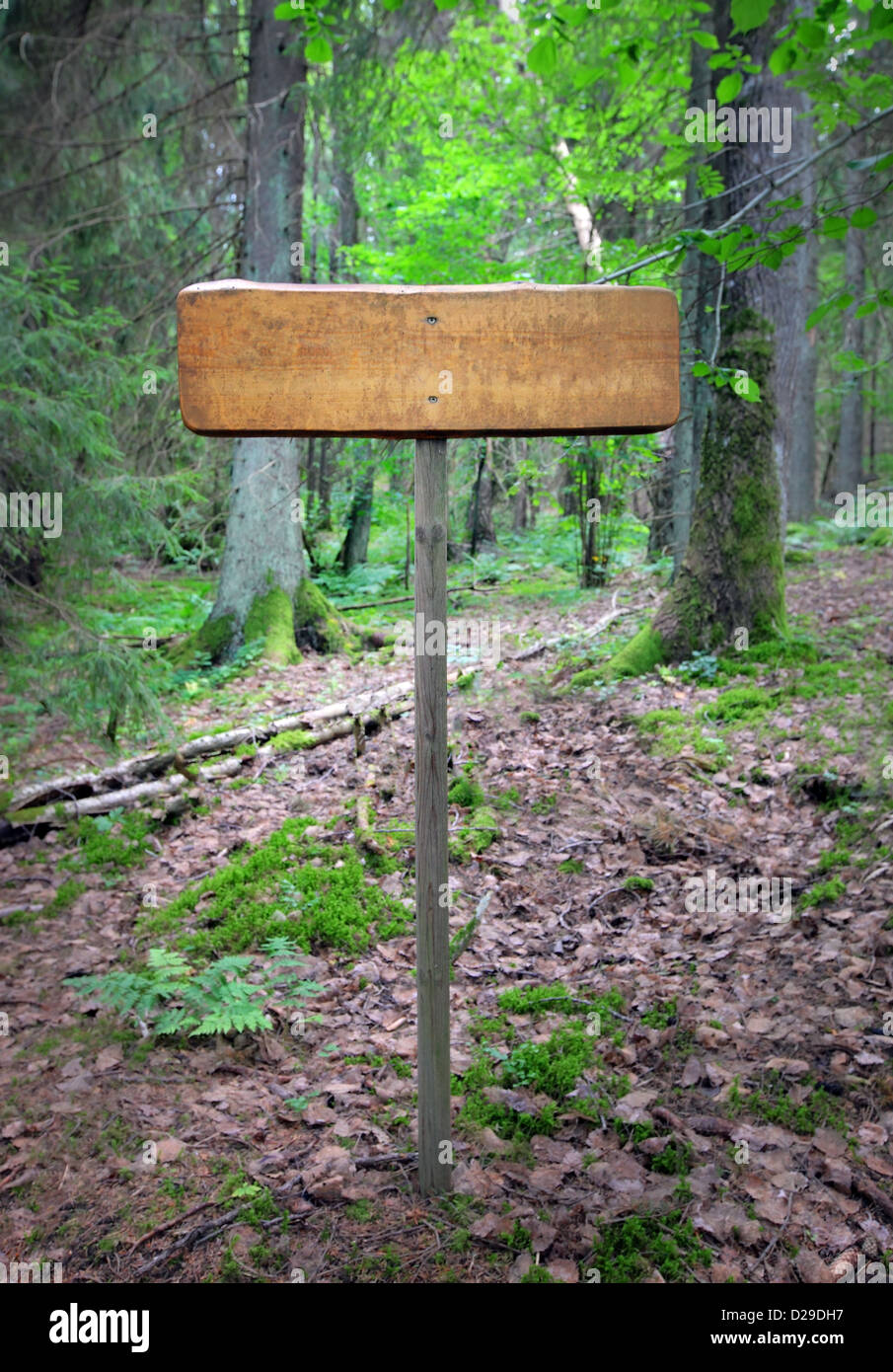 Hiking sign in forest Stock Photo - Alamy