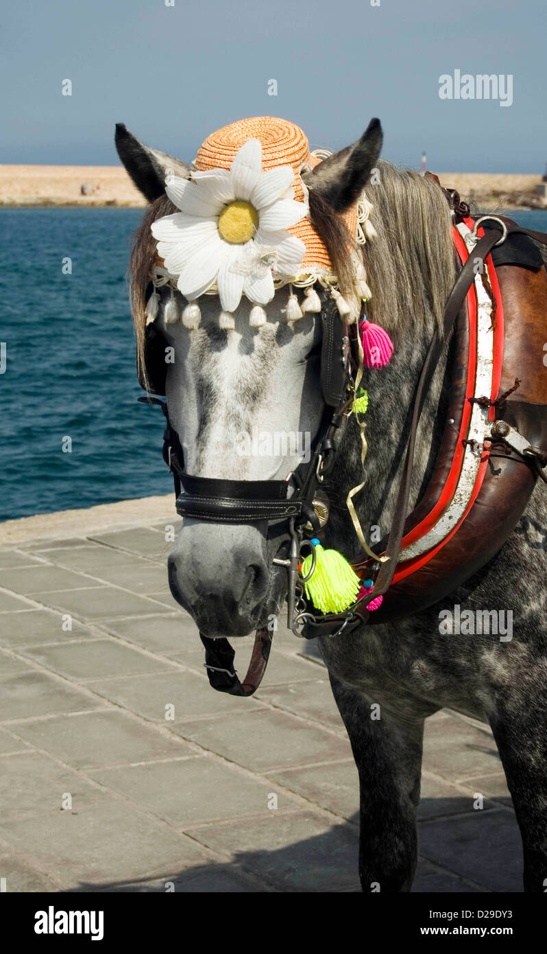 Greece, Crete, Chania, Horse Wearing Hat Stock Photo - Alamy